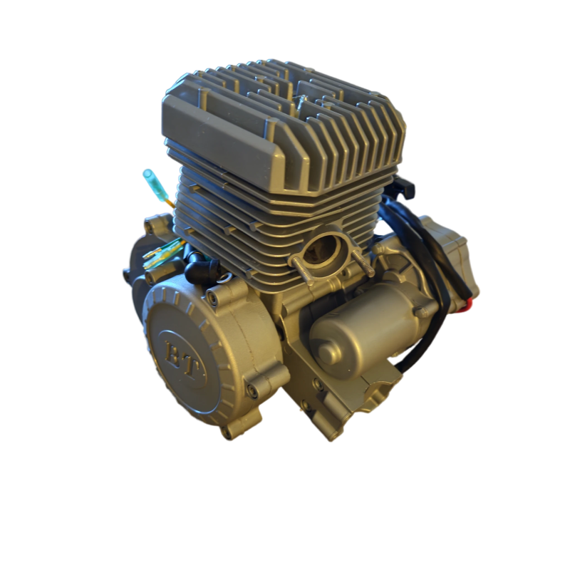 BT100 V2 - Complete Electric Start 50mm Bore 2 Stroke Motorized Bicycle ...
